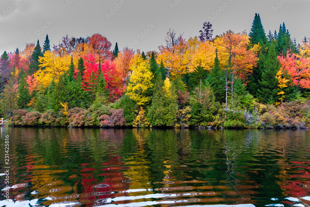 Laurentian Mountains Fall