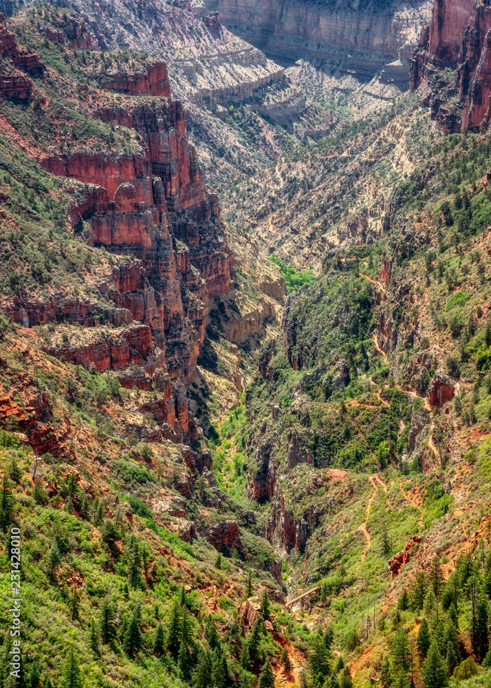 Looking down on the North Kaibab Trail and Redwall Bridge - North Rim ...