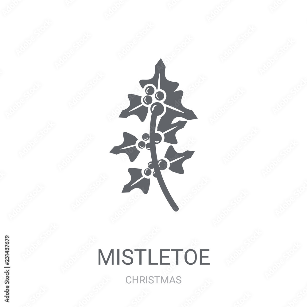 mistletoe icon. Trendy mistletoe logo concept on white background from ...