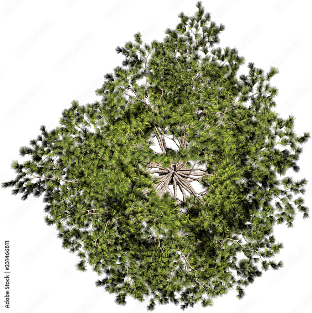 Plant & Tree overhead icon / top view symbols isolated on white ...