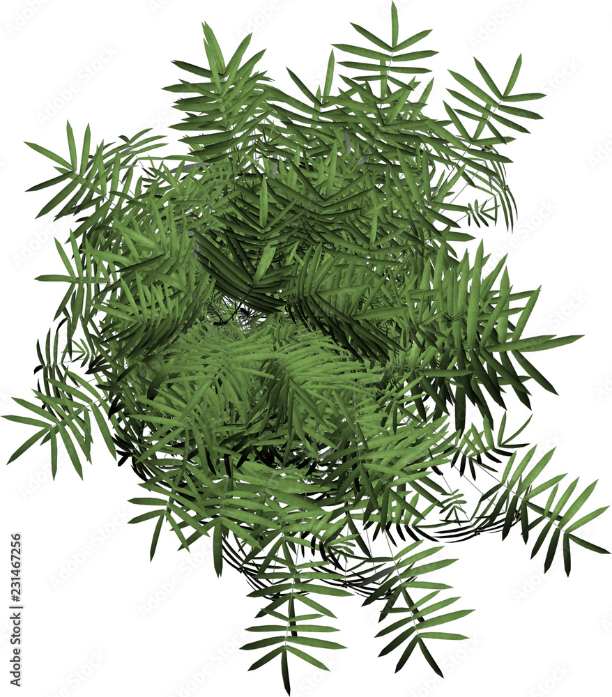 Plant & Tree overhead icon / top view symbols isolated on white ...