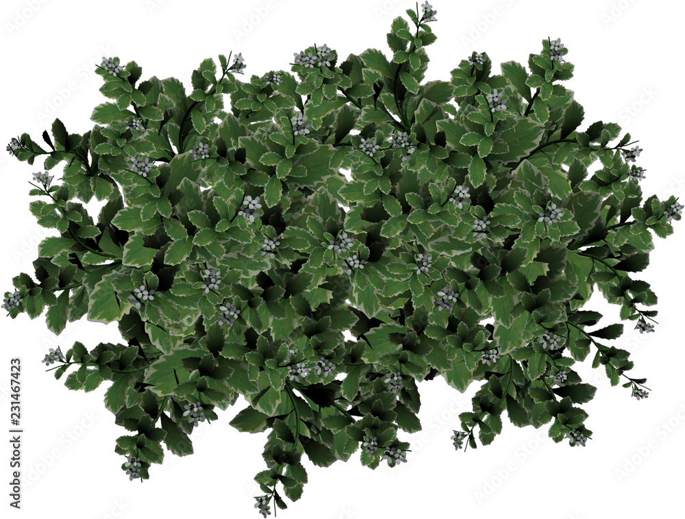 Plant & Tree overhead icon / top view symbols isolated on white ...