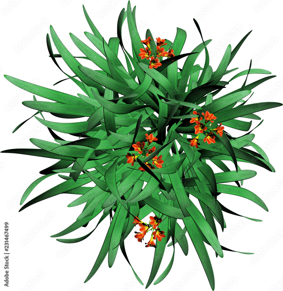 Plant & Tree overhead icon / top view symbols isolated on white ...