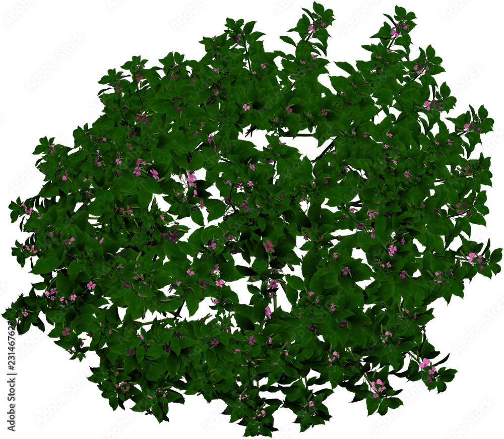 Plant & Tree overhead icon / top view symbols isolated on white ...