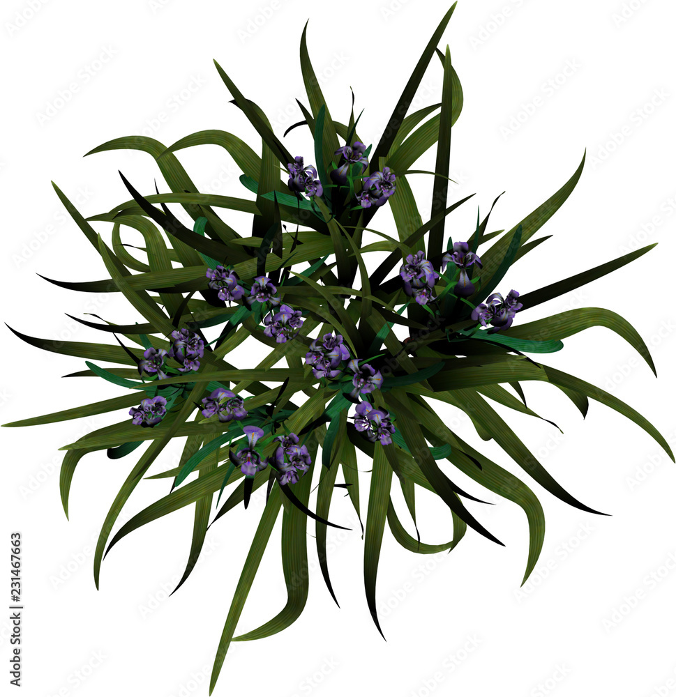 Plant & Tree overhead icon / top view symbols isolated on white ...