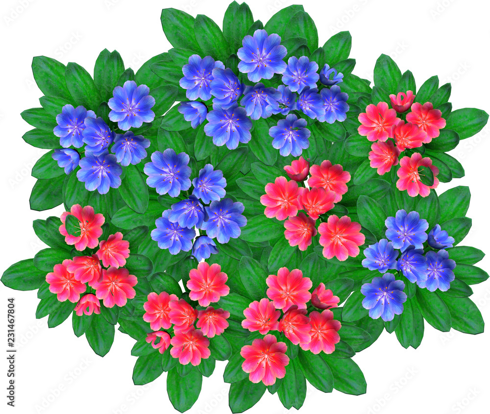 Plant & Tree overhead icon / top view symbols isolated on white ...