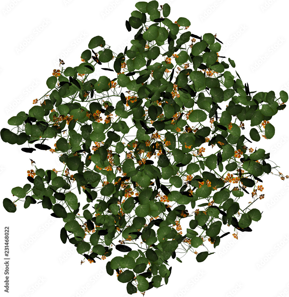 Plant & Tree overhead icon / top view symbols isolated on white ...