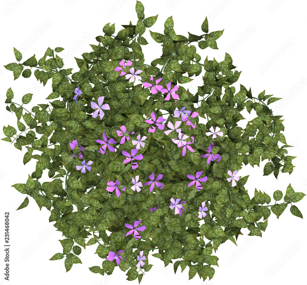 Plant & Tree overhead icon / top view symbols isolated on white ...