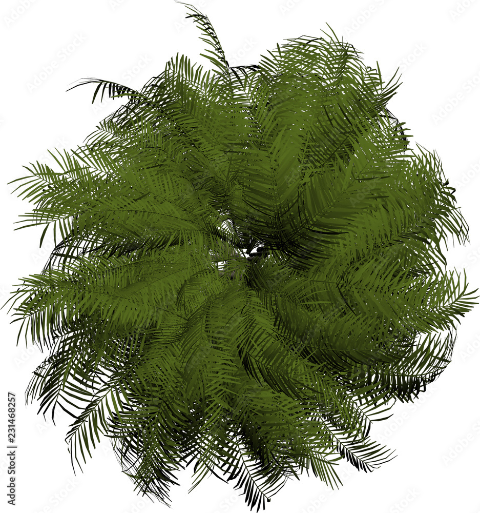 Plant & Tree overhead icon / top view symbols isolated on white ...