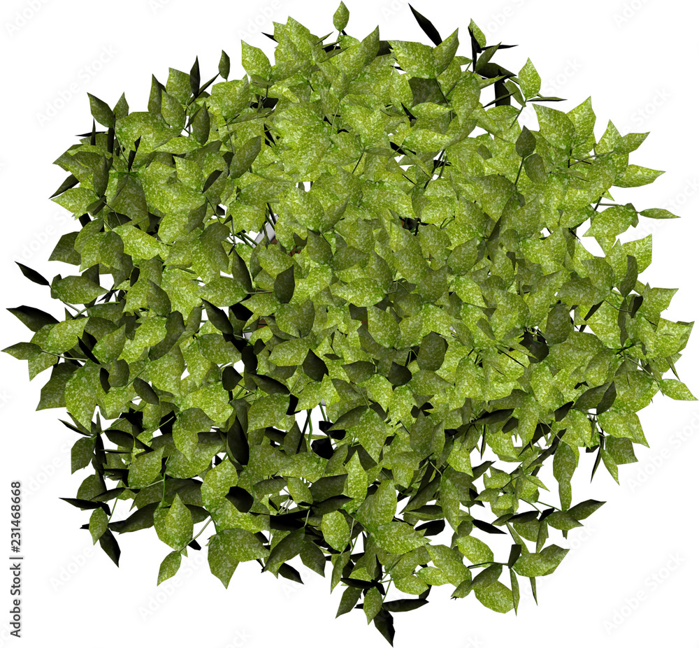 Plant & Tree overhead icon / top view symbols isolated on white ...