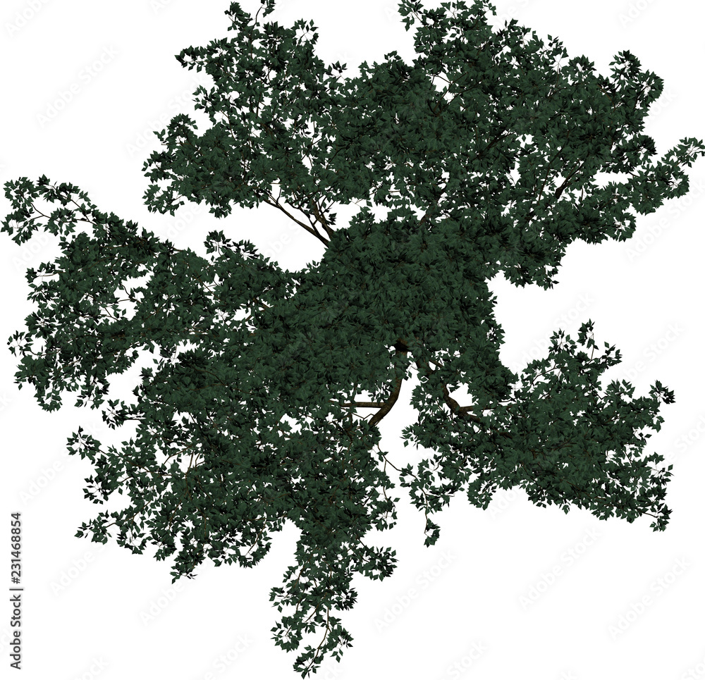 ภาพประกอบสต็อก Plant & Tree overhead icon / top view symbols isolated ...