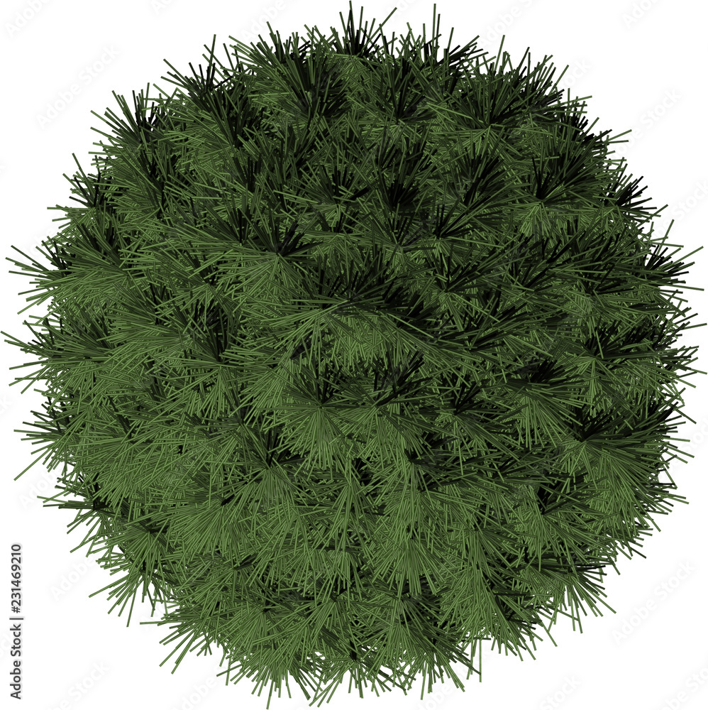 Plant & Tree overhead icon / top view symbols isolated on white ...