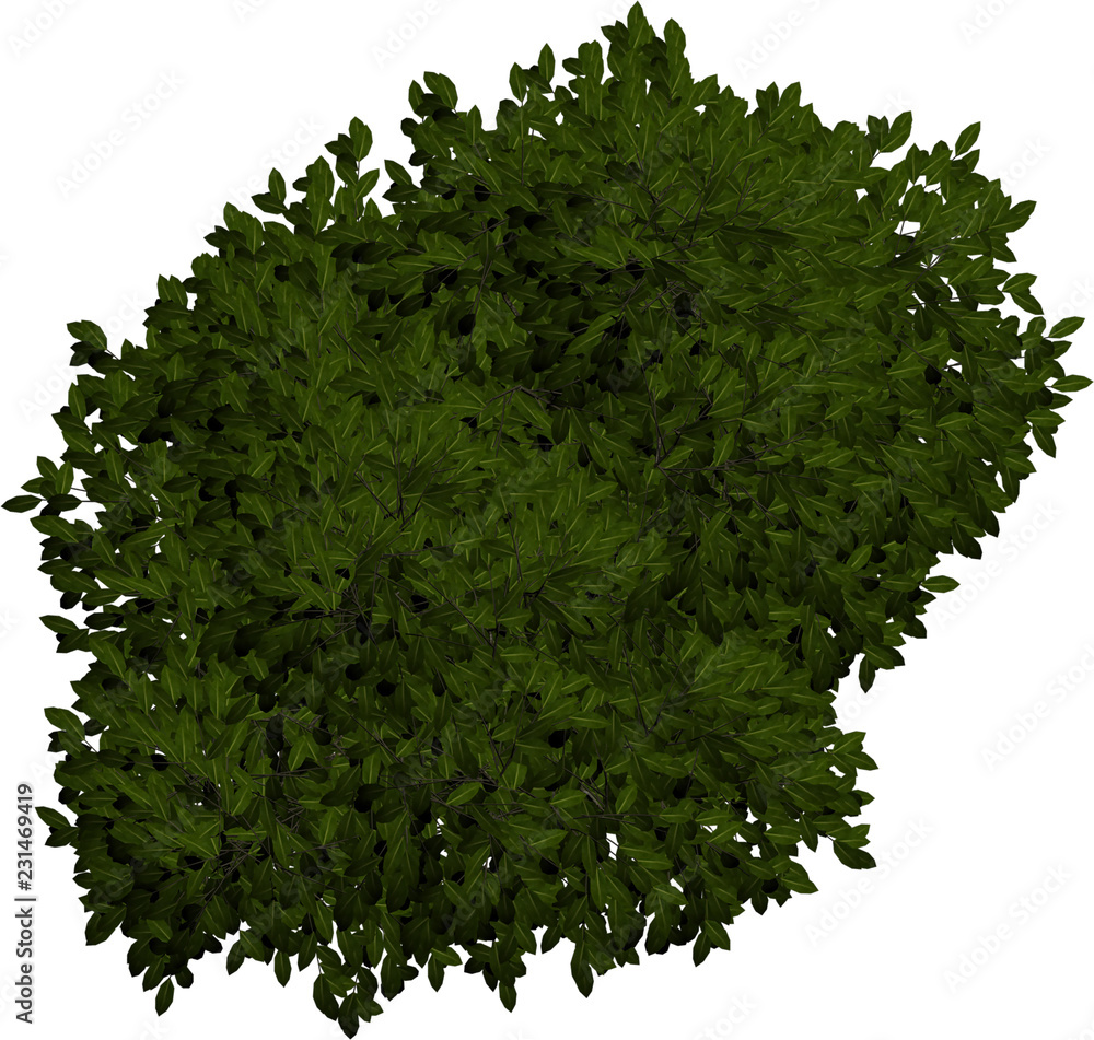 Plant & Tree overhead icon / top view symbols isolated on white ...