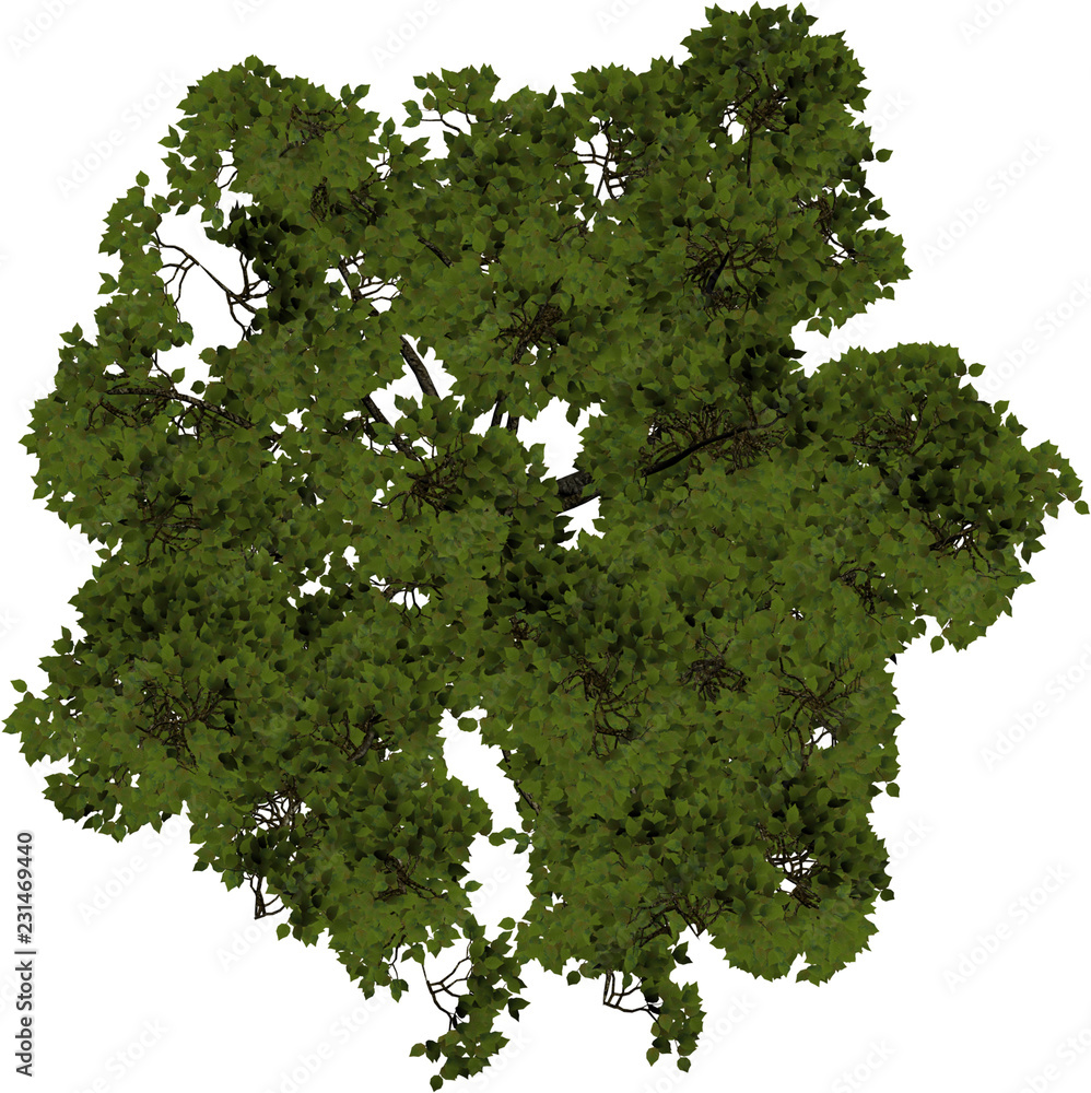 Plant & Tree overhead icon / top view symbols isolated on white ...