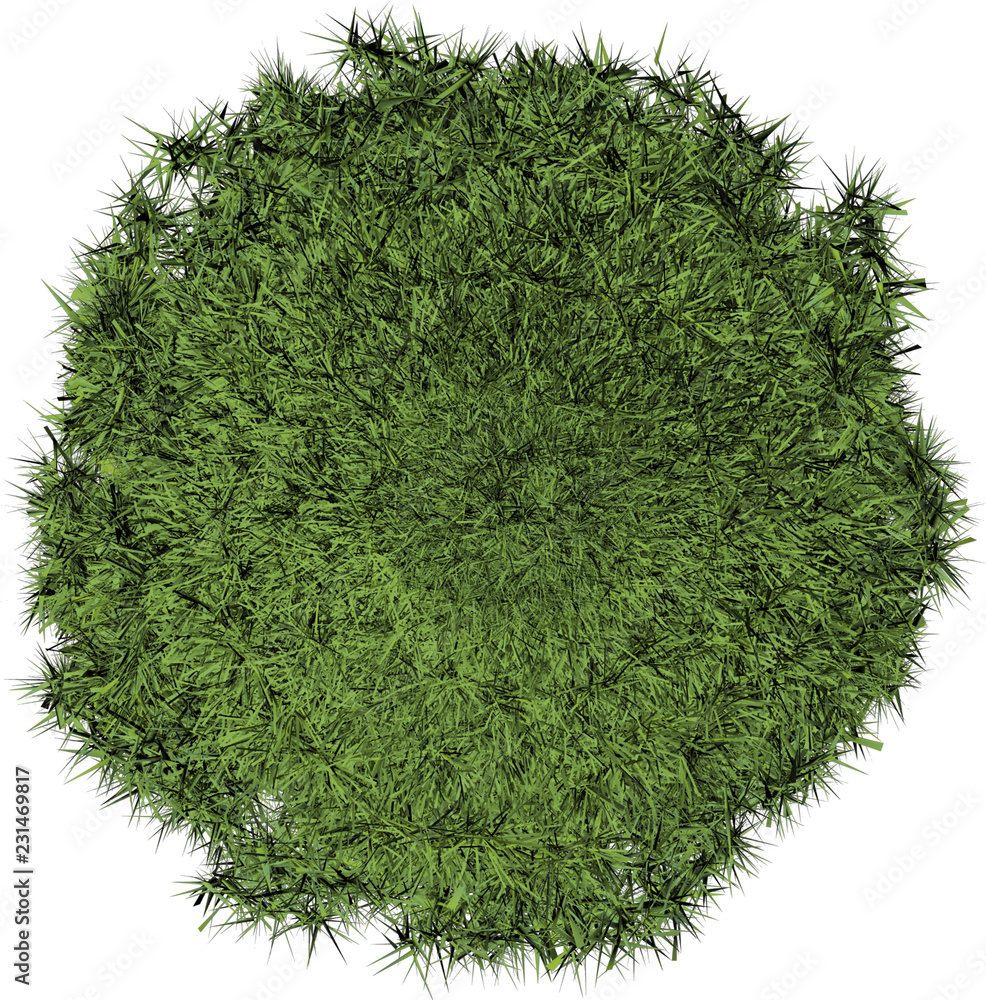 Plant & Tree overhead icon / top view symbols isolated on white ...