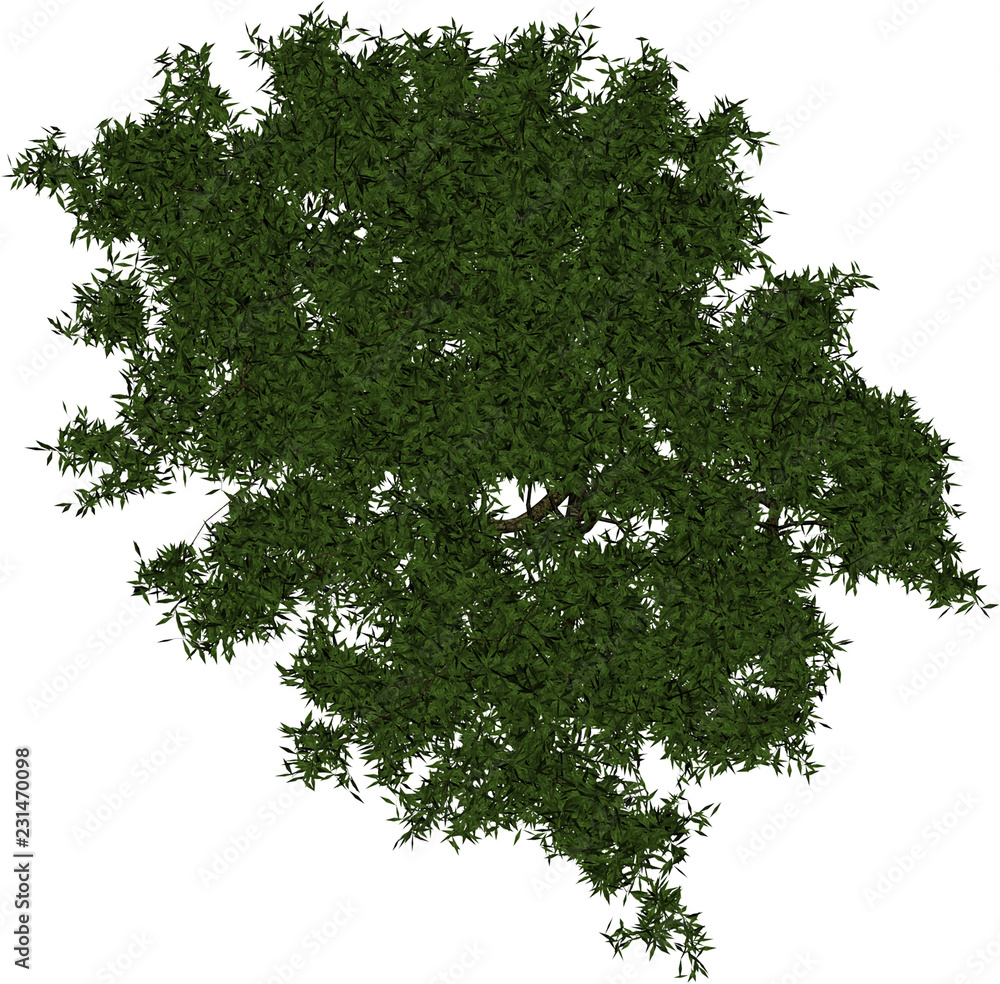 Plant & Tree overhead icon / top view symbols isolated on white ...