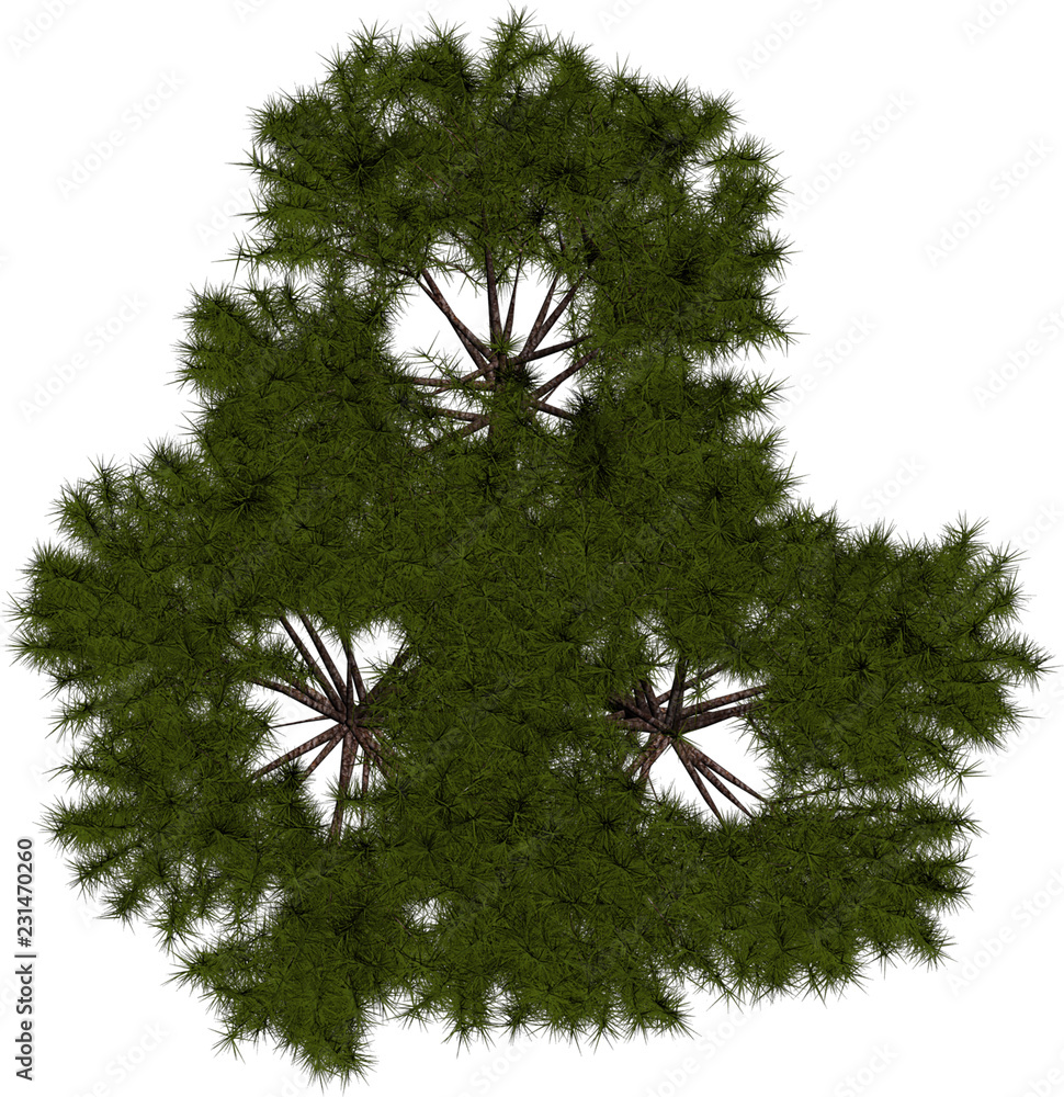 Plant & Tree overhead icon / top view symbols isolated on white ...