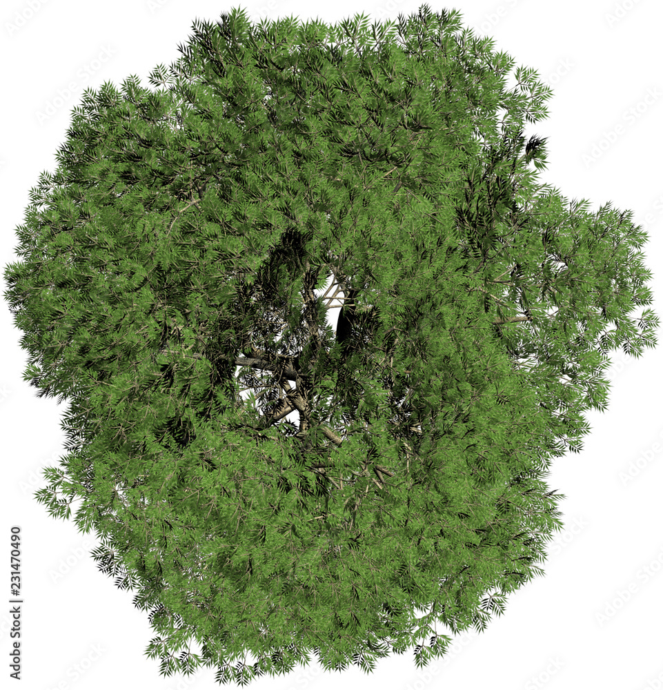 Plant & Tree overhead icon / top view symbols isolated on white ...