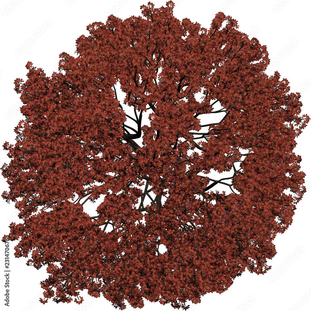 Plant & Tree overhead icon / top view symbols isolated on white ...