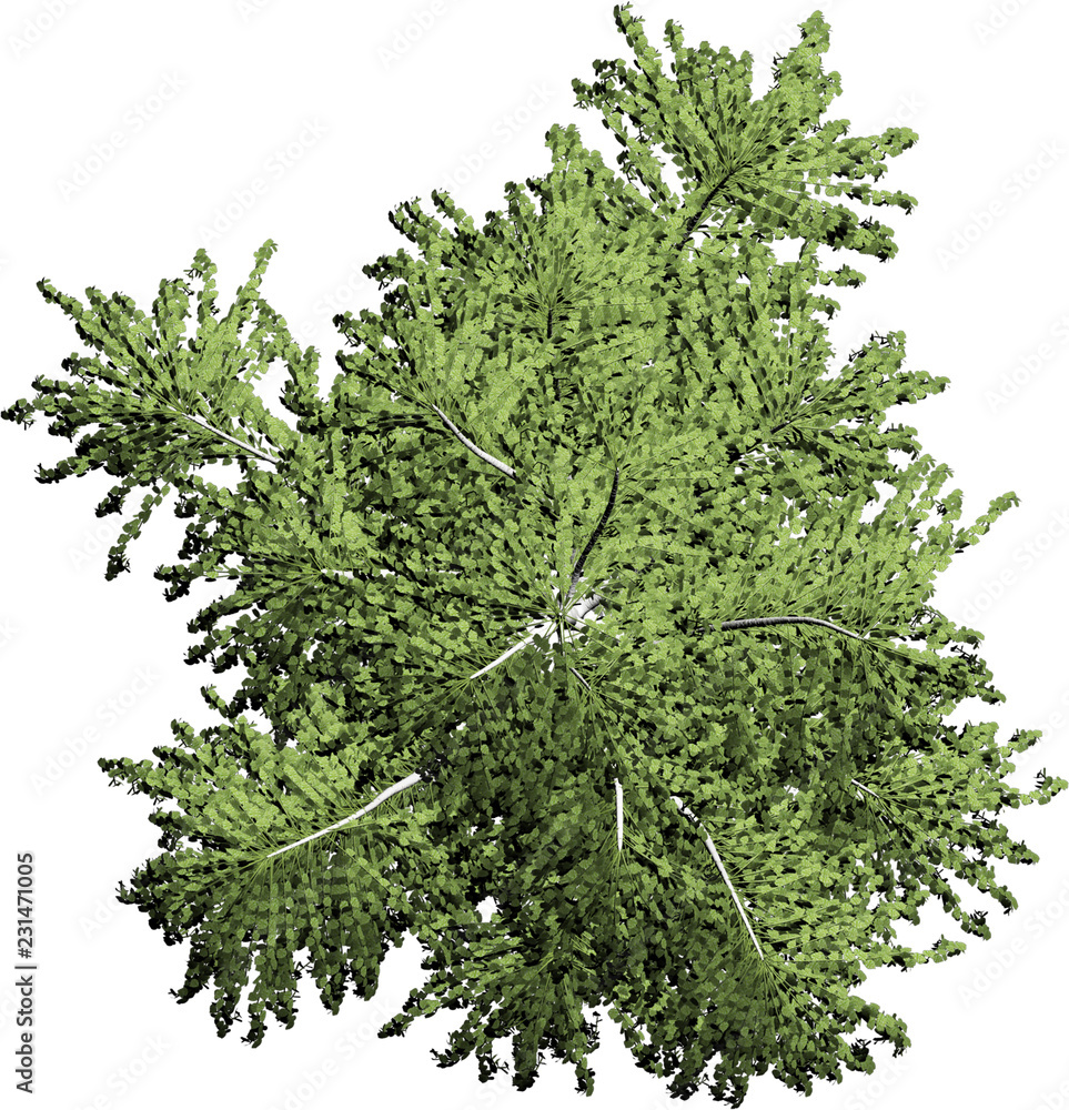 Plant & Tree overhead icon / top view symbols isolated on white ...