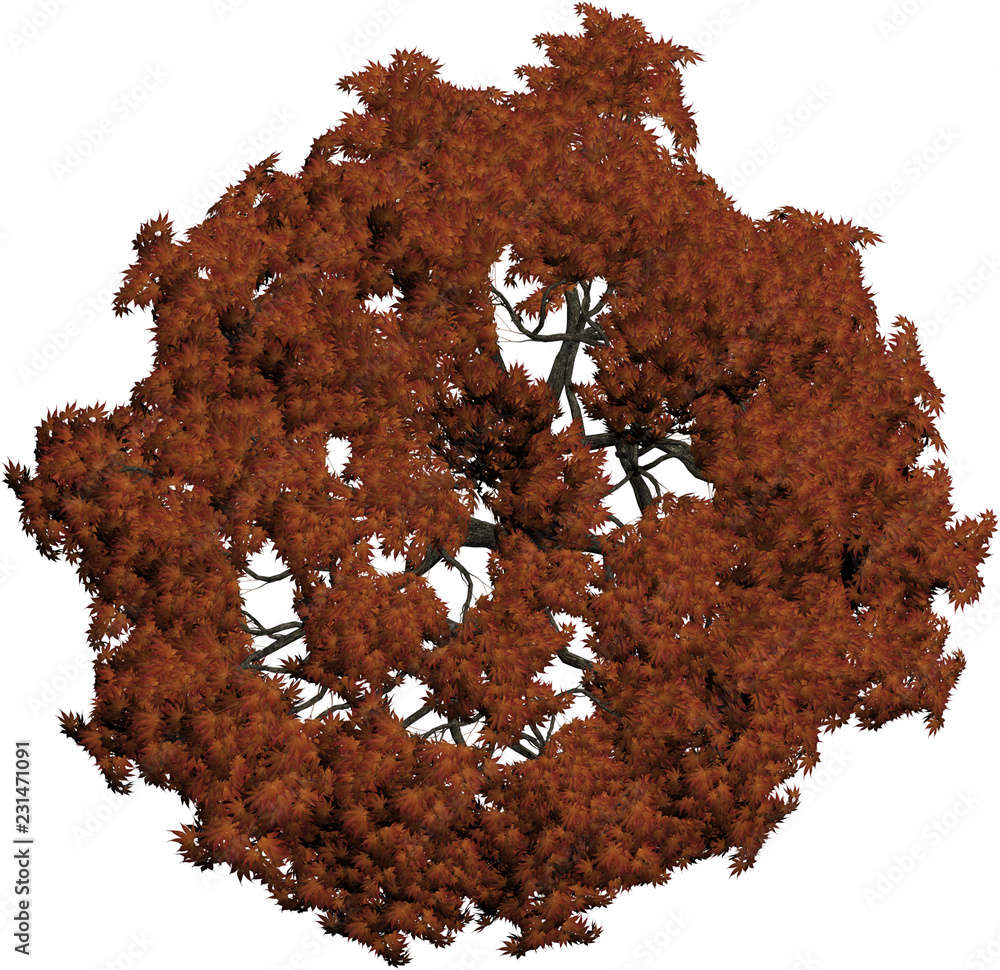 Plant & Tree overhead icon / top view symbols isolated on white ...