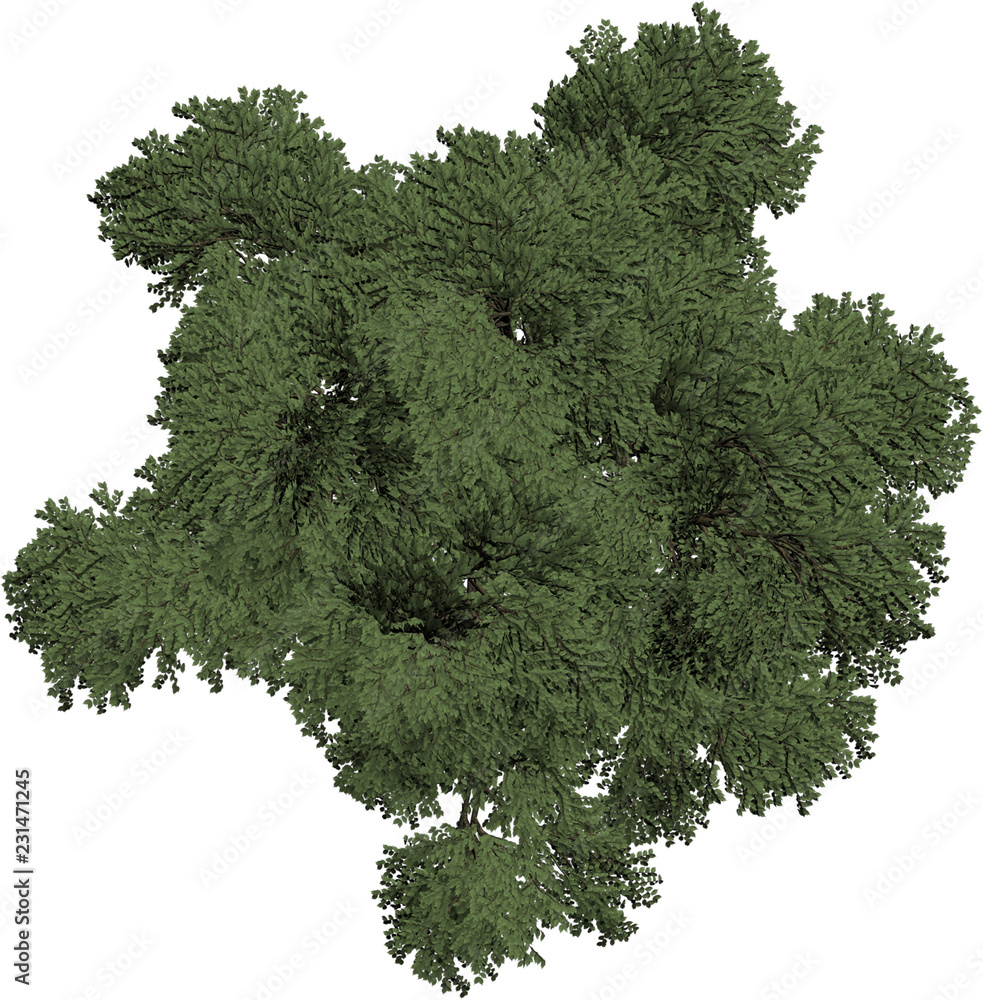 ภาพประกอบสต็อก Plant & Tree overhead icon / top view symbols isolated ...