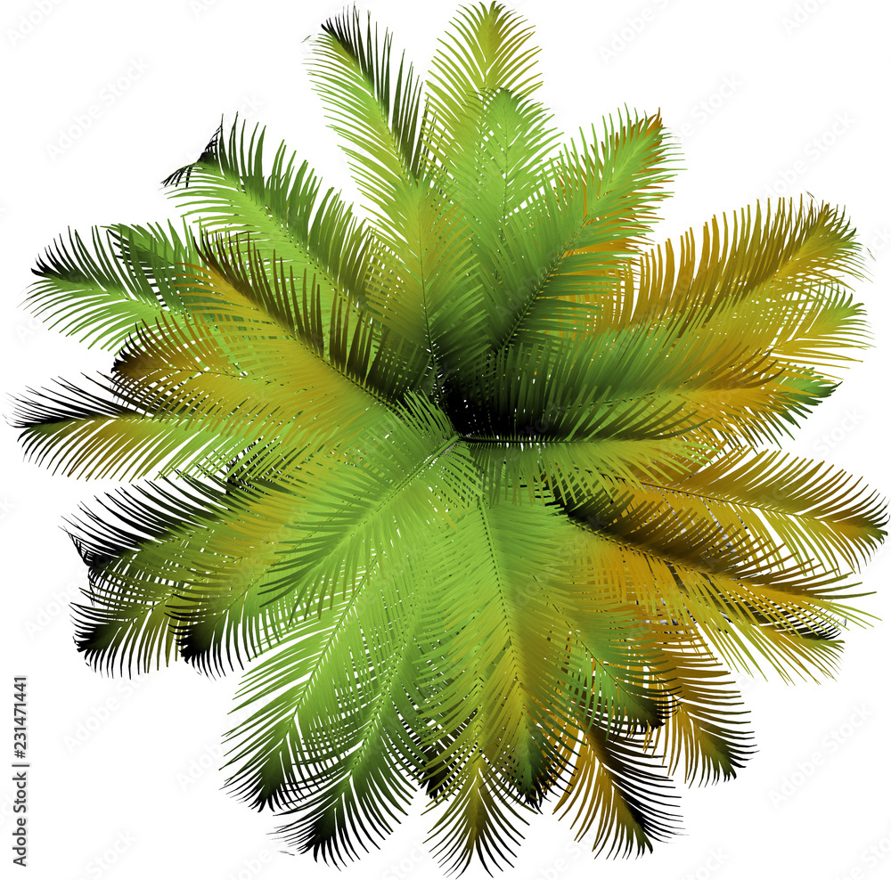 Plant & Tree overhead icon / top view symbols isolated on white ...