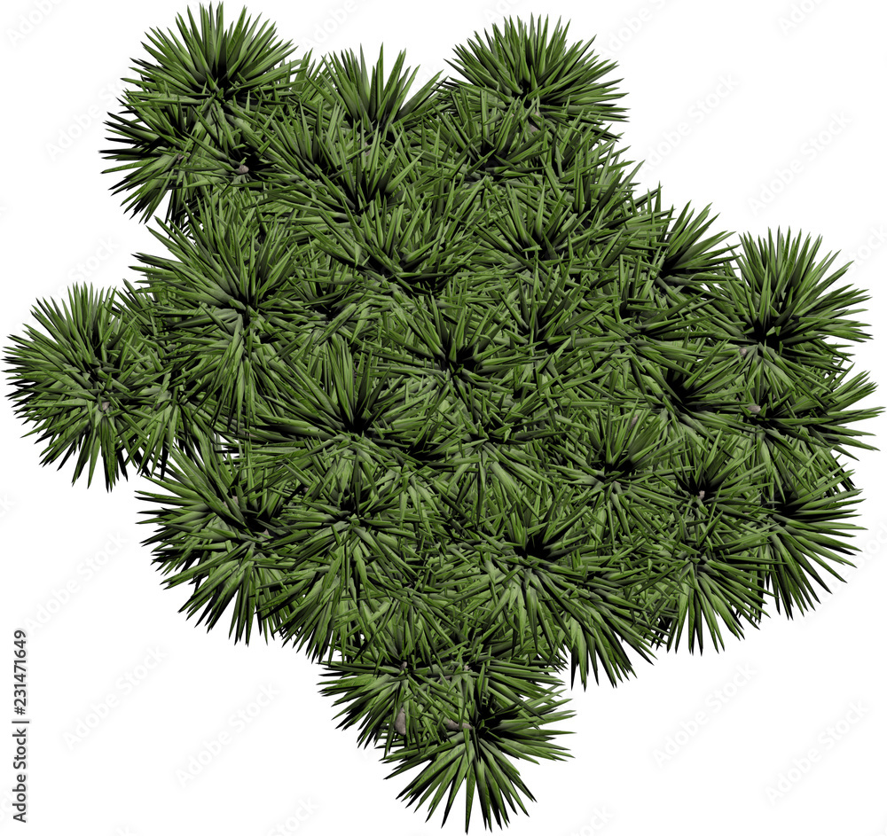 Plant & Tree overhead icon / top view symbols isolated on white ...