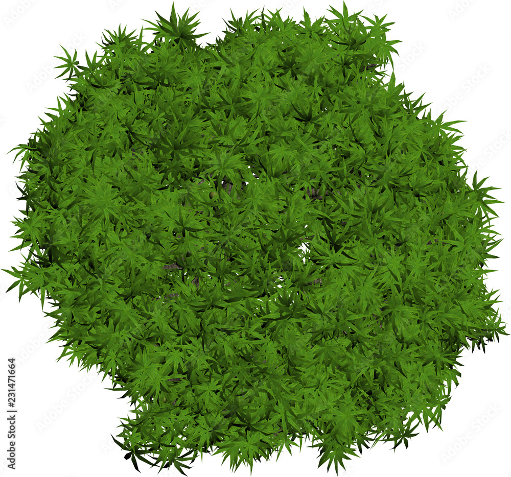 Plant & Tree overhead icon / top view symbols isolated on white ...