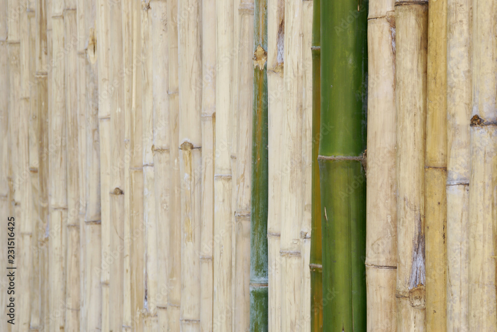 Perspective View of Bamboo Wall as Texture Background Stock Photo ...