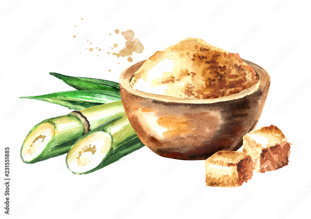 Brown sugar with sugar cane. Watercolor hand drawn illustration ...