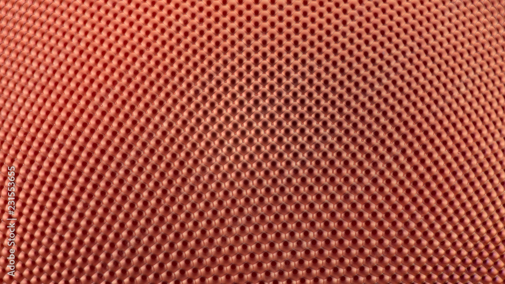 Extreme magnification - Compound eye texture under the microscope Stock ...