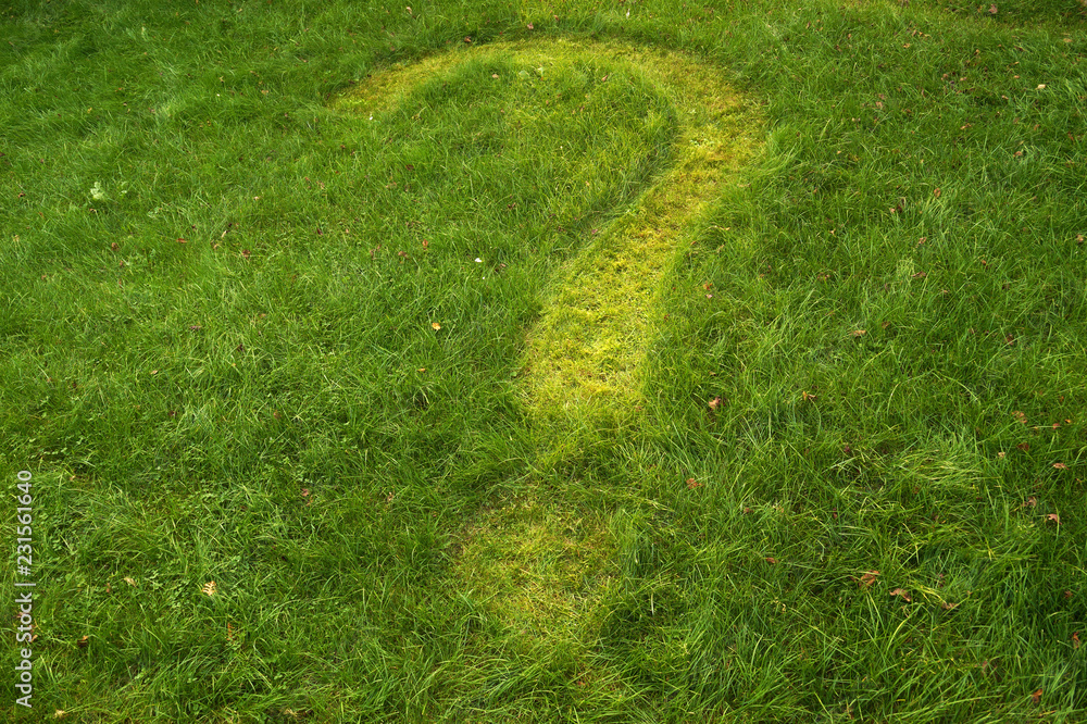 Green lawn. Question mark mowed in the lawn. Stock Photo | Adobe Stock