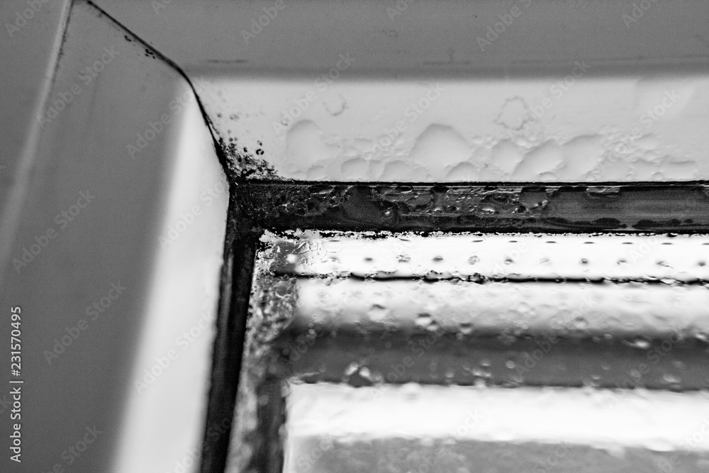 Due to the high humidity of the room and the poor ventilation inside ...