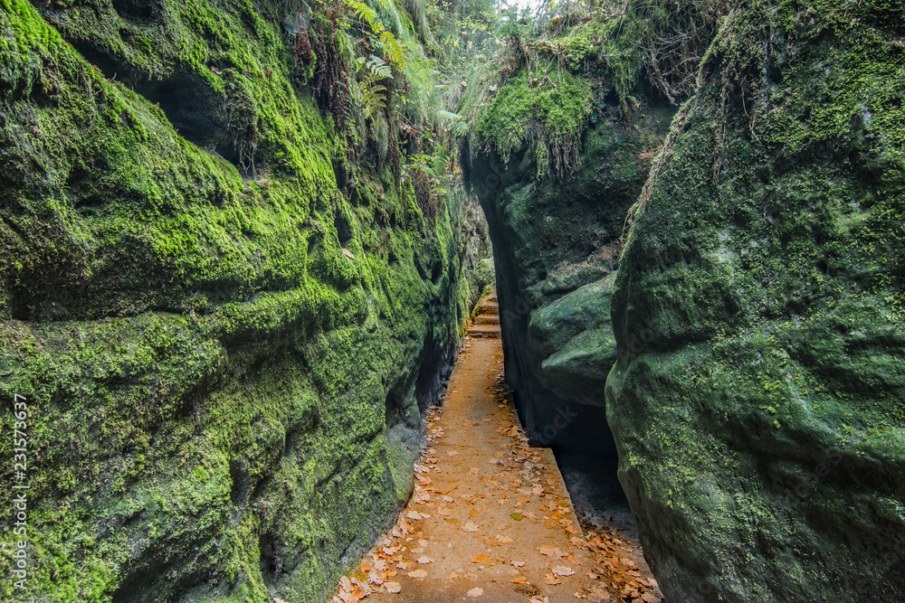 Gorge overgrown with moss over a narrow rocky path Stock Photo | Adobe ...