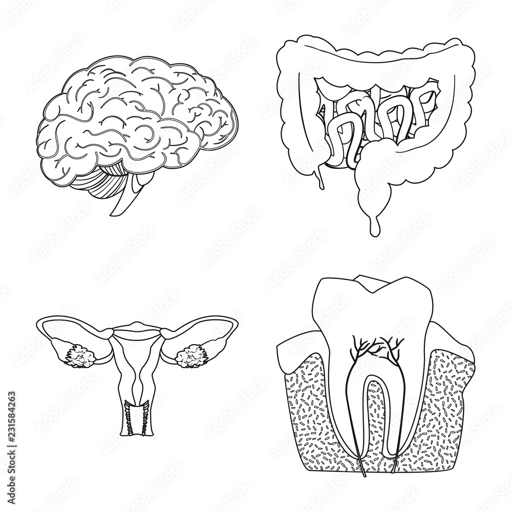 Vector illustration of body and human symbol. Set of body and medical ...