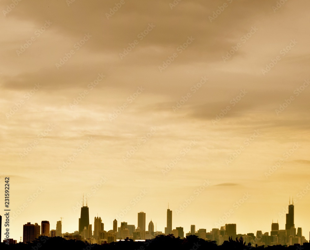 Downtown Chicago Skyline-Considered one of the tallest skylines in the ...