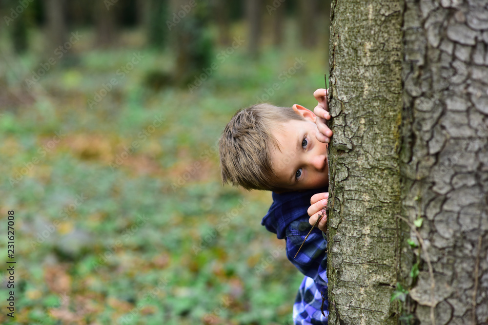 Child Hiding Behind Tree