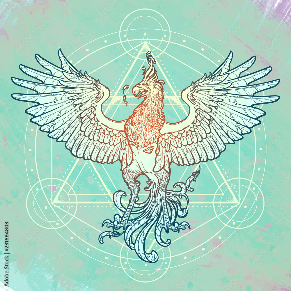 Mythycal bird Phoenix. David's star on a background. Alchemy symbol ...