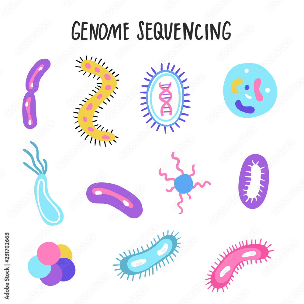 Vetor do Stock: Hand drawn genome sequencing illustration. Human dna ...