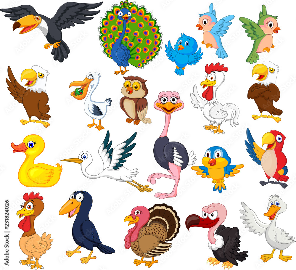 Cartoon bird collection set Stock Vector | Adobe Stock
