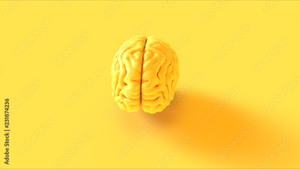 Yellow Human brain Anatomical Model 3d illustration 3d rendering 素材庫插圖 ...