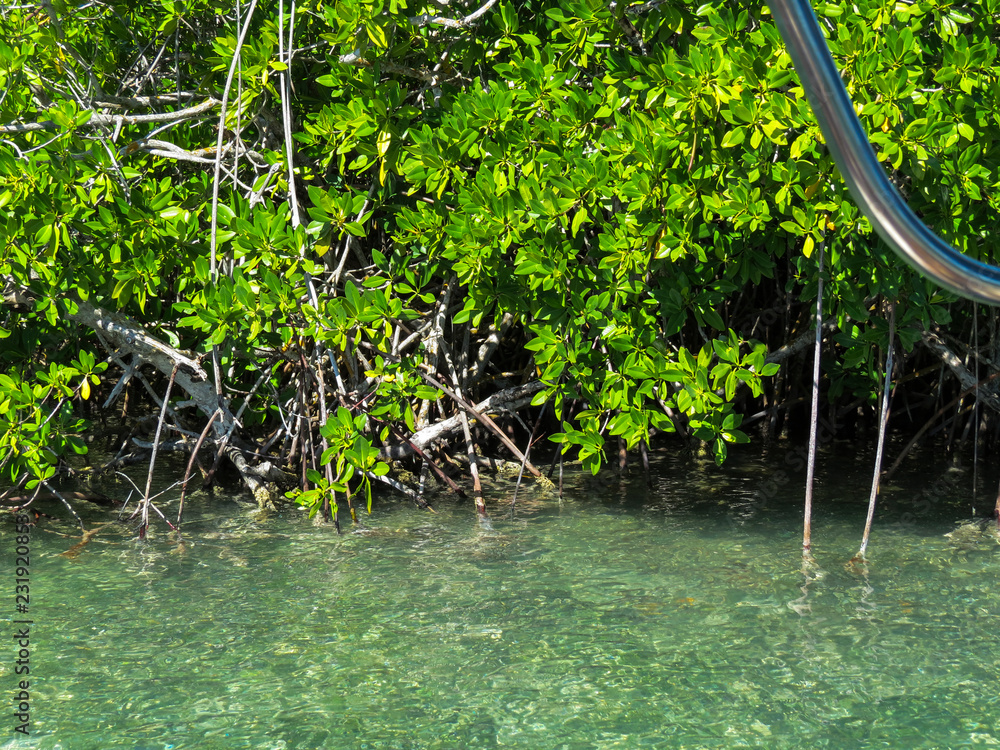 Fotografia do Stock: La Romana, Dominican Republic - the turquoise ...