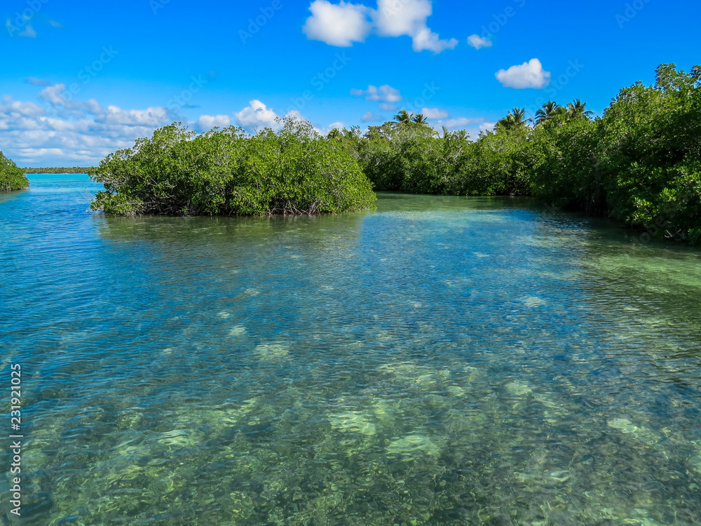 La Romana, Dominican Republic - the turquoise water and the mangroves ...