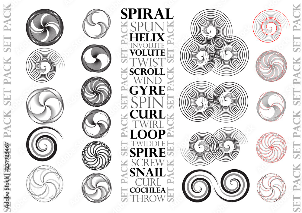 spiral helix volute scroll gyre curl loop spire snail twist wind spin ...