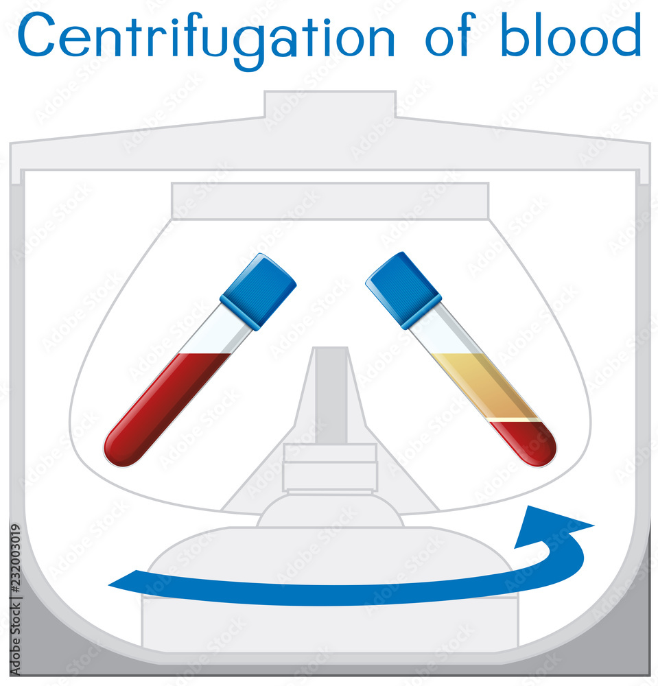 Centrifugation of blood diagram Stock Vector | Adobe Stock