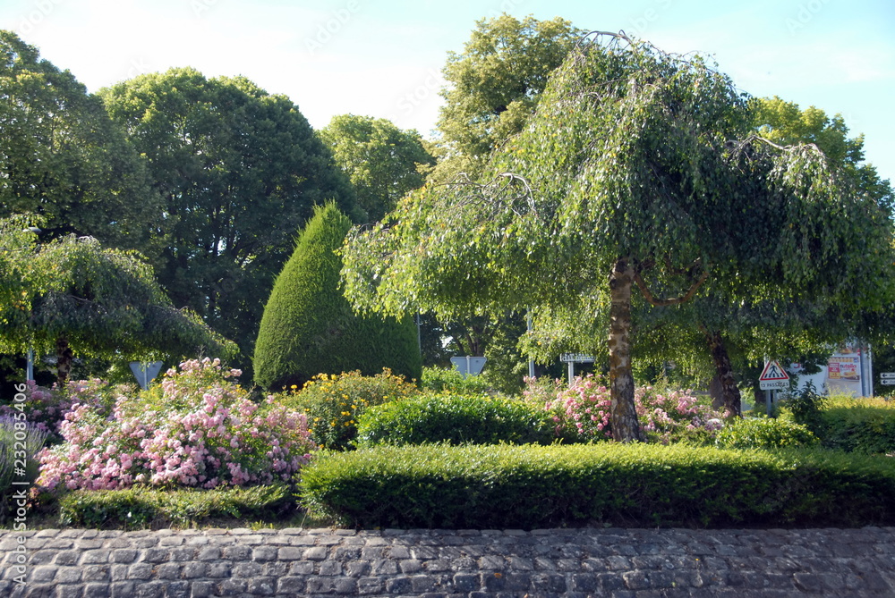 Rond-point fleuri, arbre, arbustes, massif de fleurs roses, ville de ...