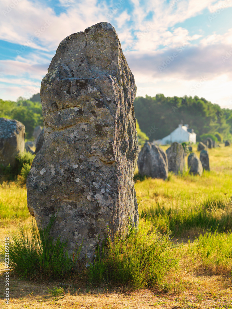 Foto de France, Brittany, Morbihan, Carnac, megalithic menhir ...