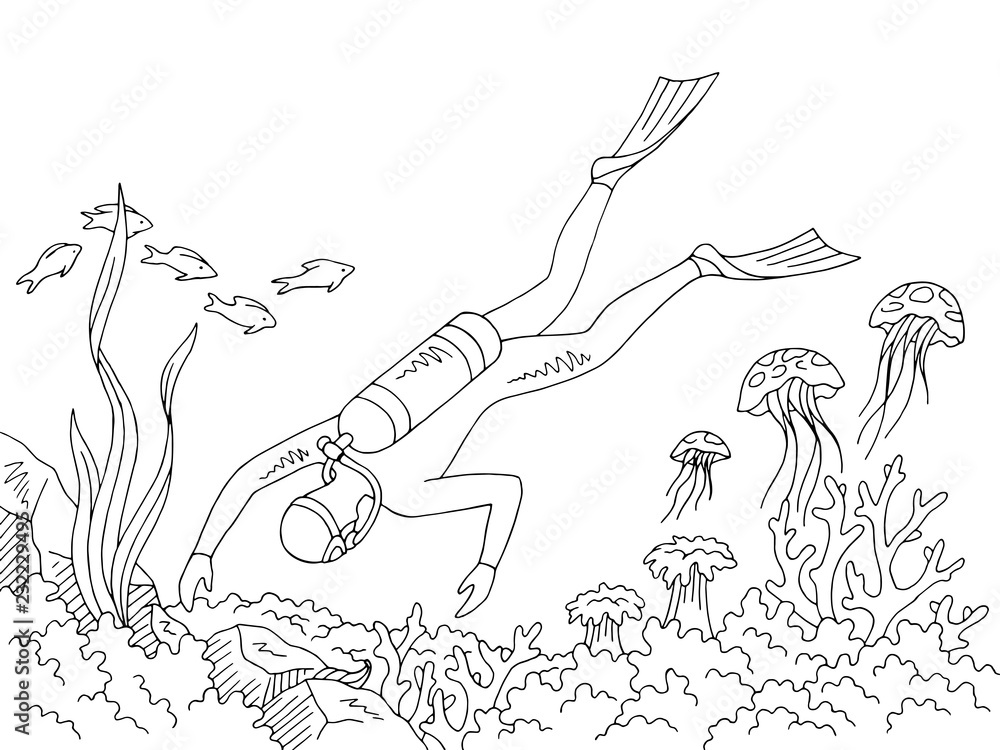 Diver swimming underwater graphic sea black white sketch illustration ...