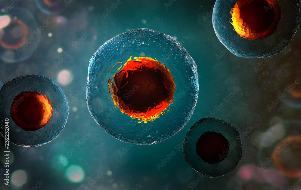 Human (animal) cell under microscope (3D illustration) Stock ...